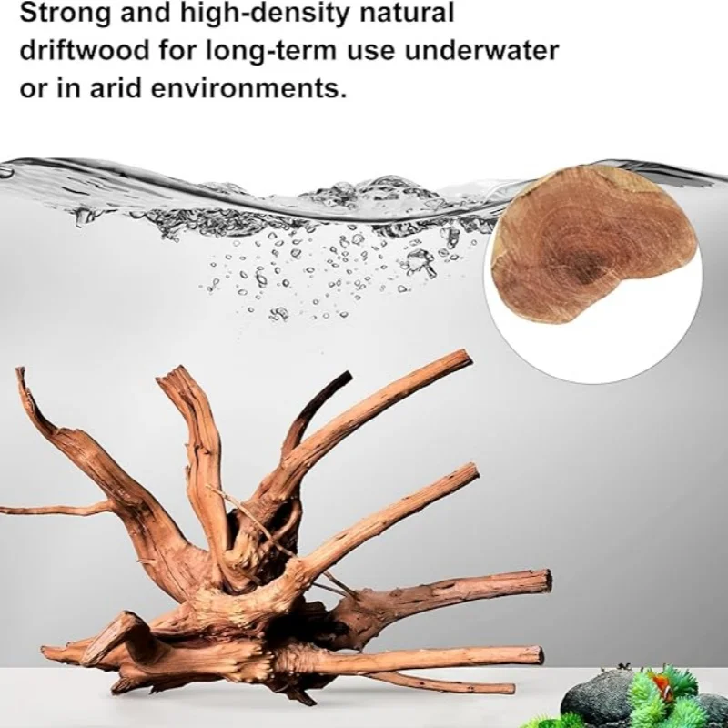 Natural-Driftwood-Cuckoo-Roots-Dead-wood-Tree-Trunk-Micro-Landscape ...