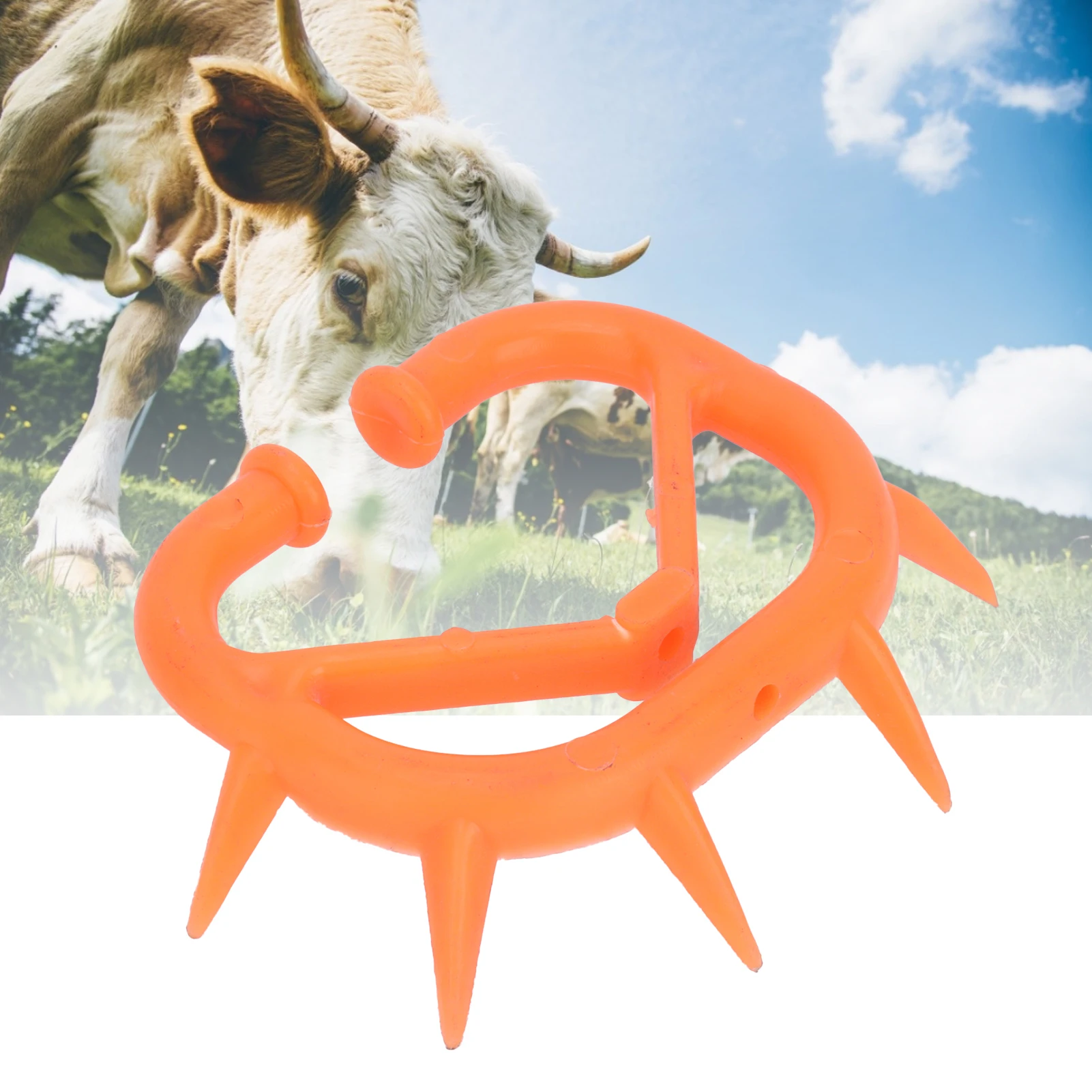 5Pcs-Cow-Nose-Thorn-Bovine-Weaning-Thorn-Cattle-Weaner-With-Thick ...