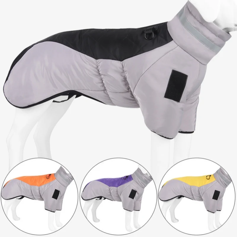 Coat-Labrador-Costume-Golden-Dogs-Waterproof-Dog-Clothes-for-Medium ...