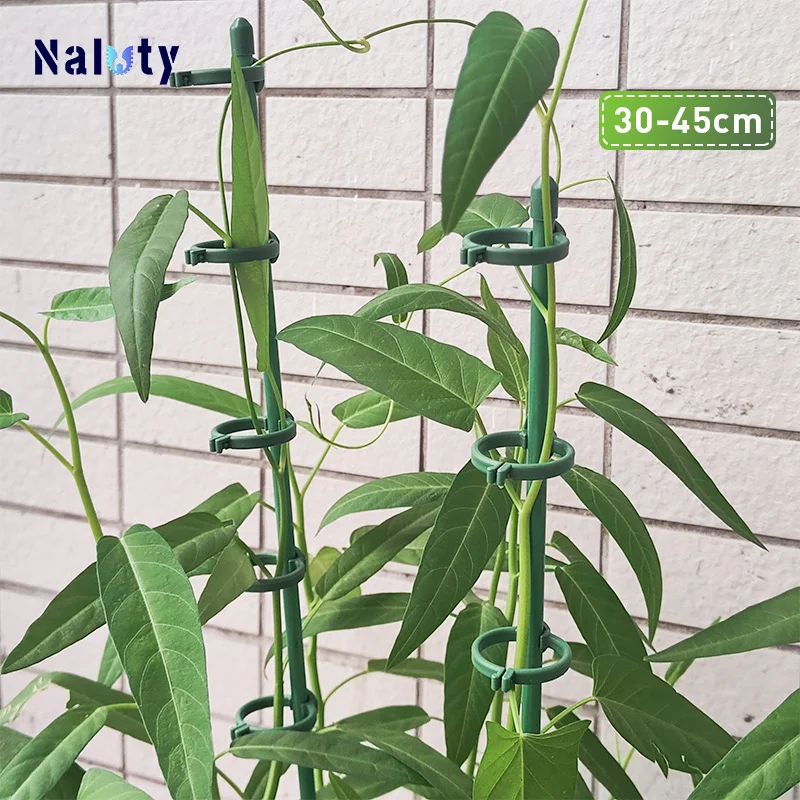 1-5PCS-Multiple-Clips-Plant-Supports-Stakes-Flower-Stand-Sticks ...