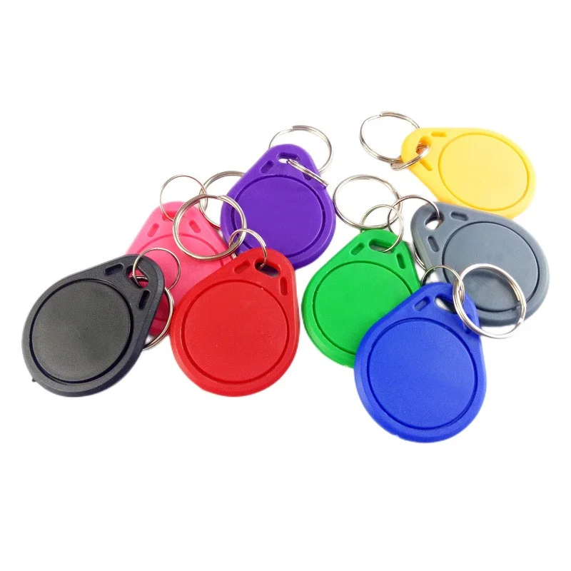 2023-New-RFID-125Khz-EM4100-Key-Read-Only-Keyfobs-Ring-Chip-Keytab ...