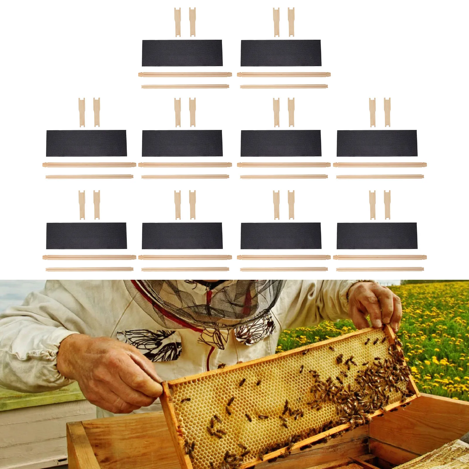 Bee Hive Frames Founation