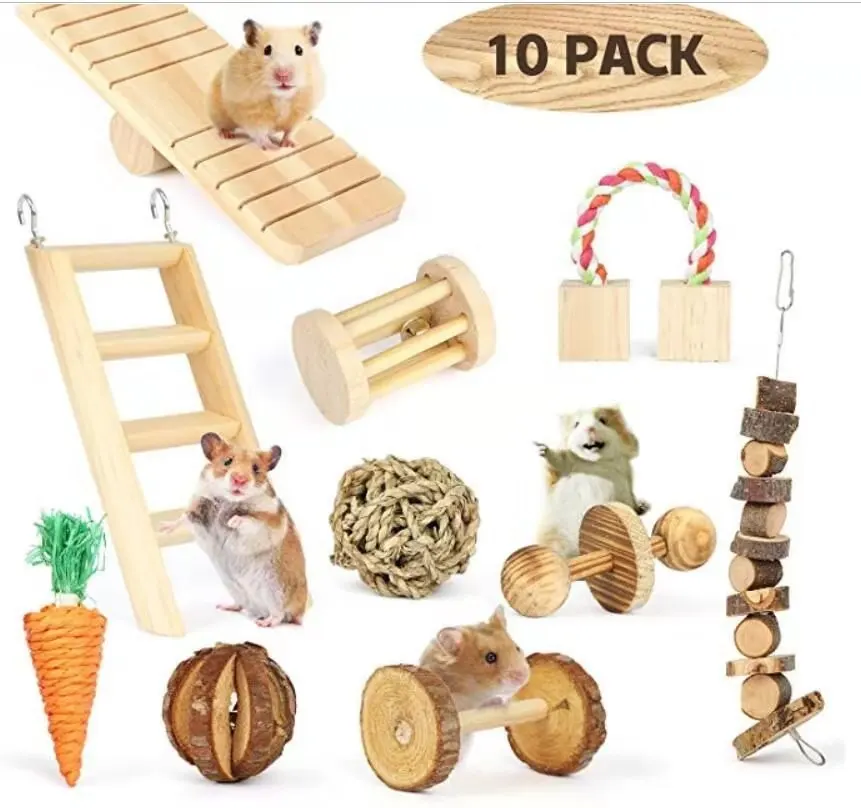 Toys Hamster Guinea Pigs | Wooden Hamster Chew Toy Set | Wooden ...