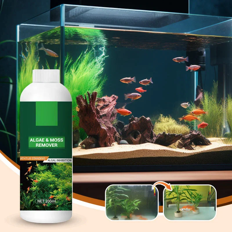 Algae & Moss Remover,Protease Reductase Formula,Prevent Algae Growth ...
