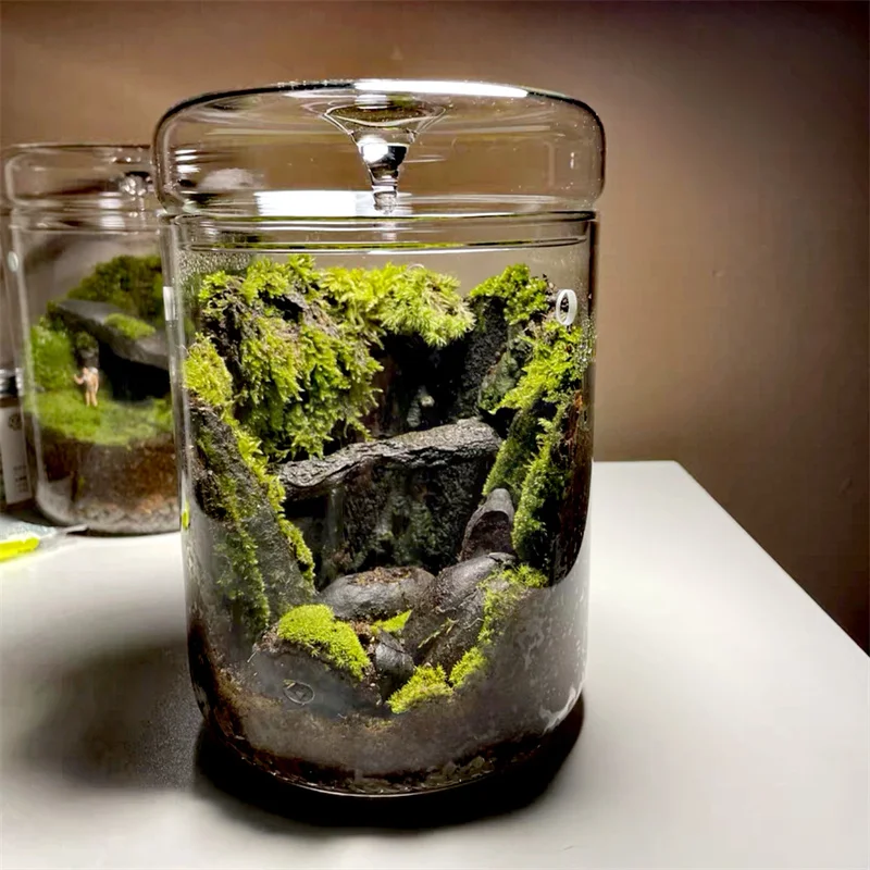 Micro-Landscape-Glass-Bottles-Creativity-Dew-Collection-Glass-Vase ...