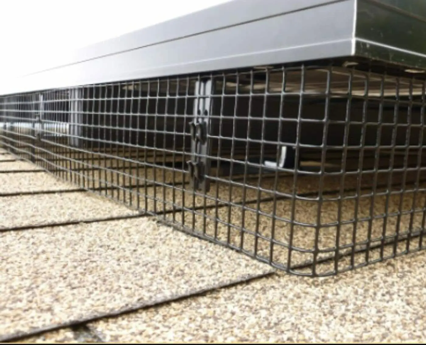 Store Home Products Getaway Deals Feedback