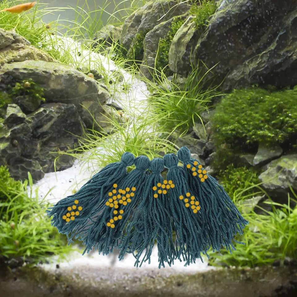 Fish Spawning Koi Pond Breeding Laying Eggs Rope Brush Goldfish ...