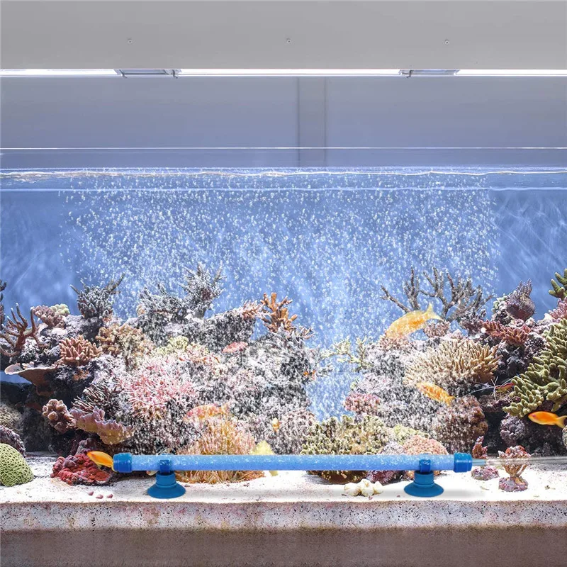 Wall Bubble Fish Tank