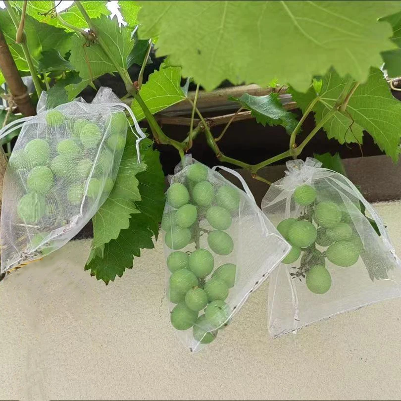 Jaune clair-100pcs Fraises Raisins Fruits Sacs de Protection ...