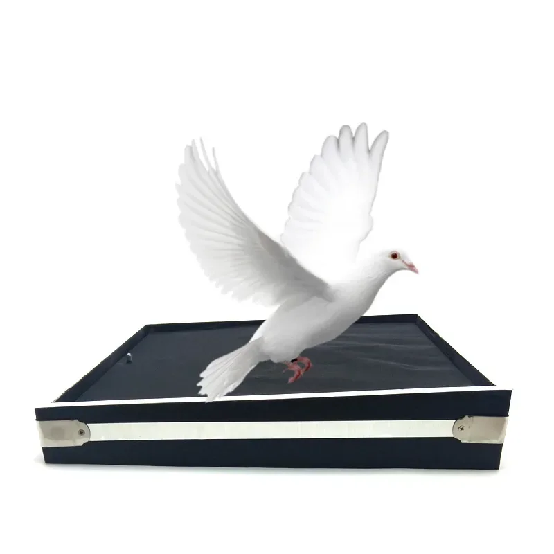 Balloon-Fire-Dove-Tray-Object-Appear-From-Fire-Tray-Stage-Magic-Trick ...