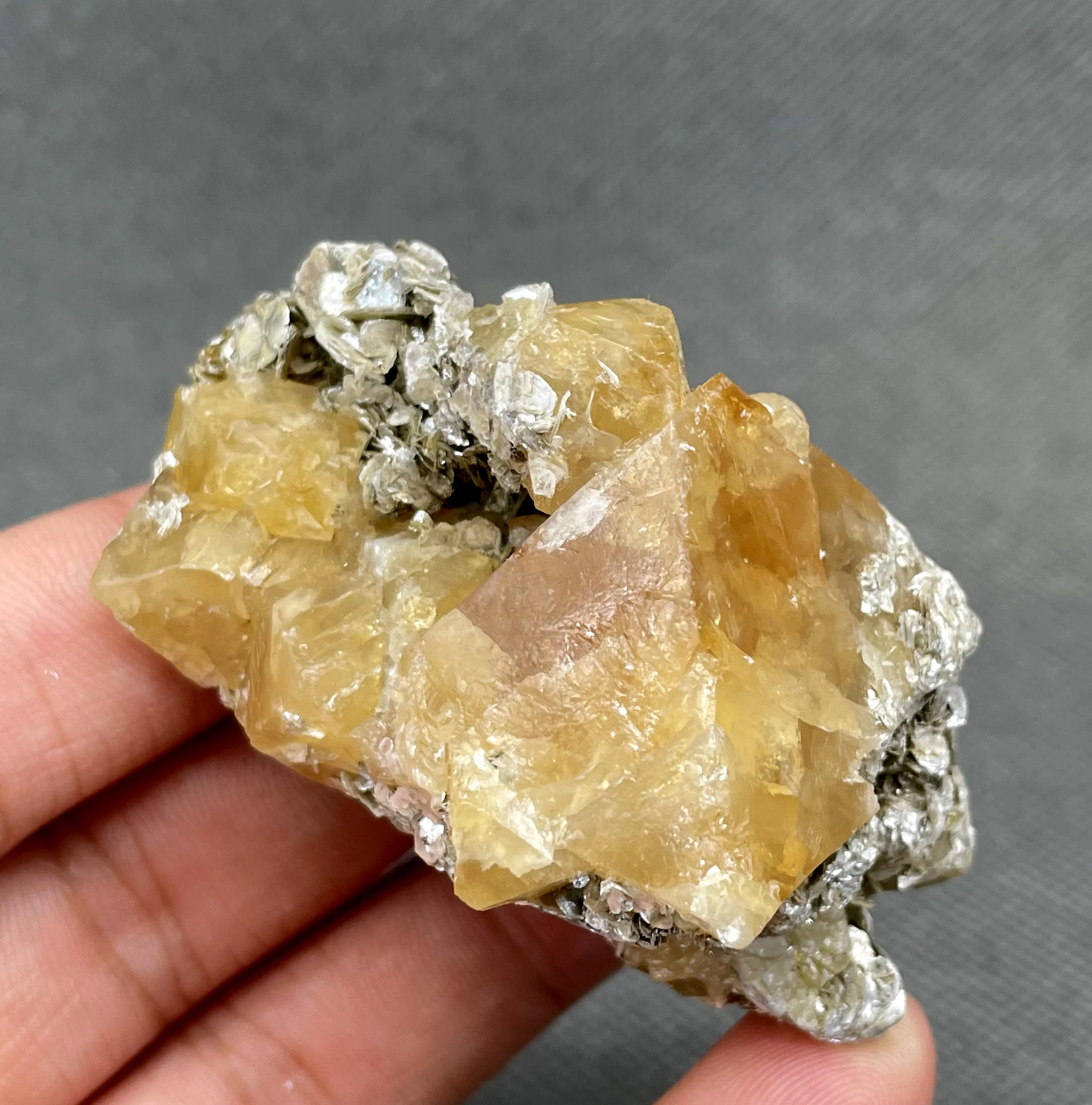 Store Home Products Getaway Deals Feedback