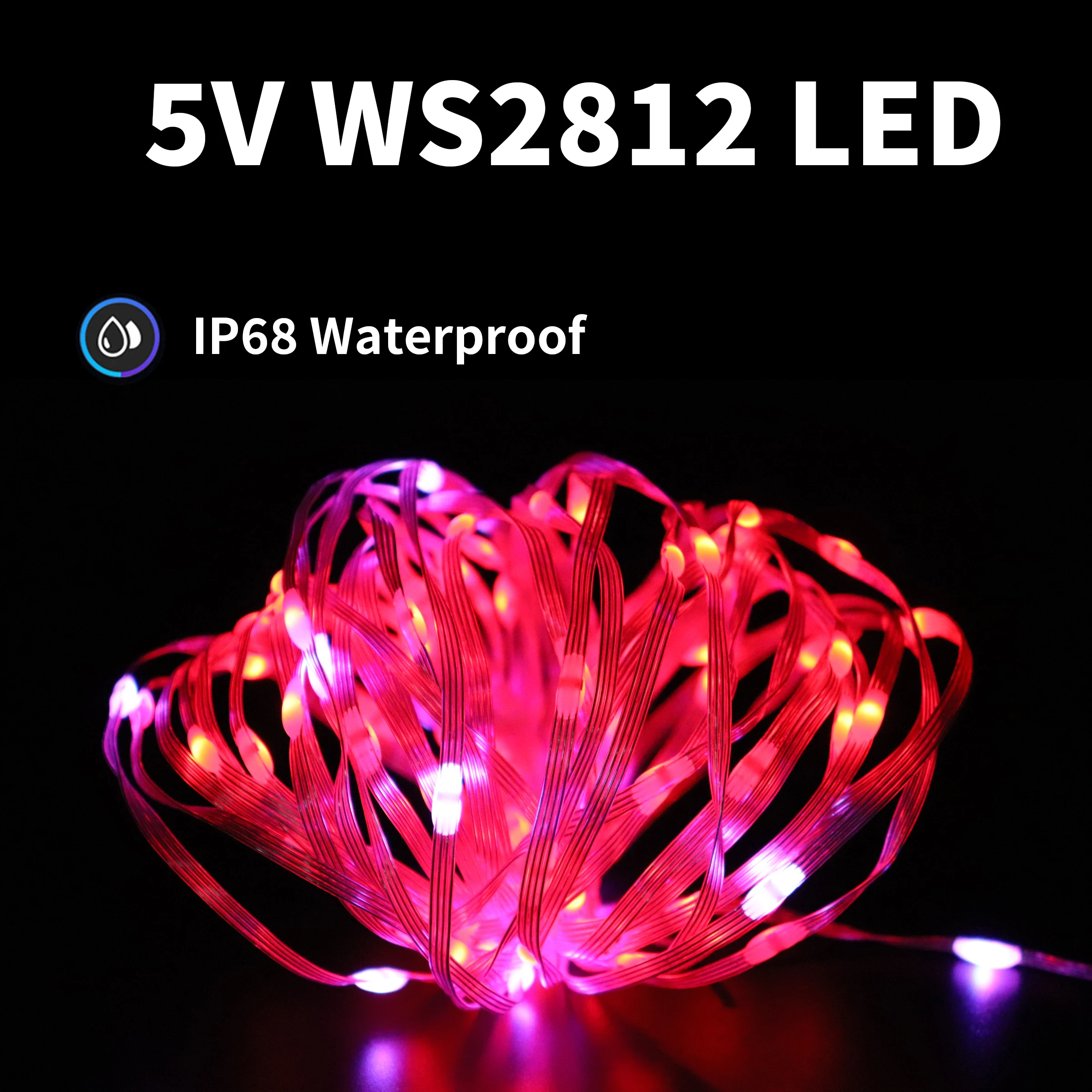 WS2812B RGB IC Christmas LED String Light Muticolor Addressable ...
