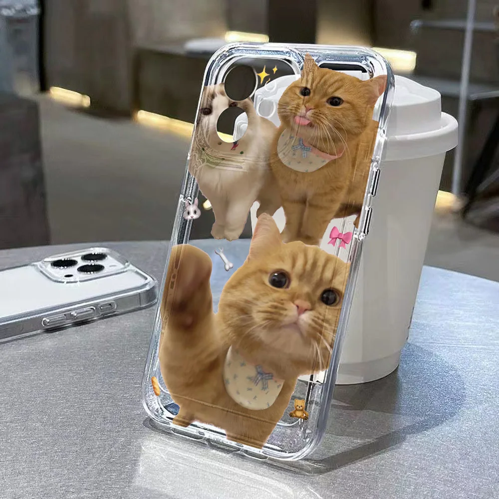 Cute-Cat-Clear-Case-For-iPhone-13-Cases-iPhone-15-16-Pro-Max-12-11-14.jpg