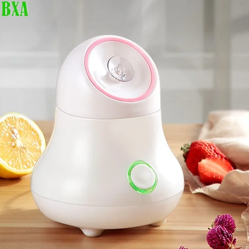 Fruit-and-Vegetable-Facial-Steamer-Nano-Ionic-Face-Humidifier-Mist ...