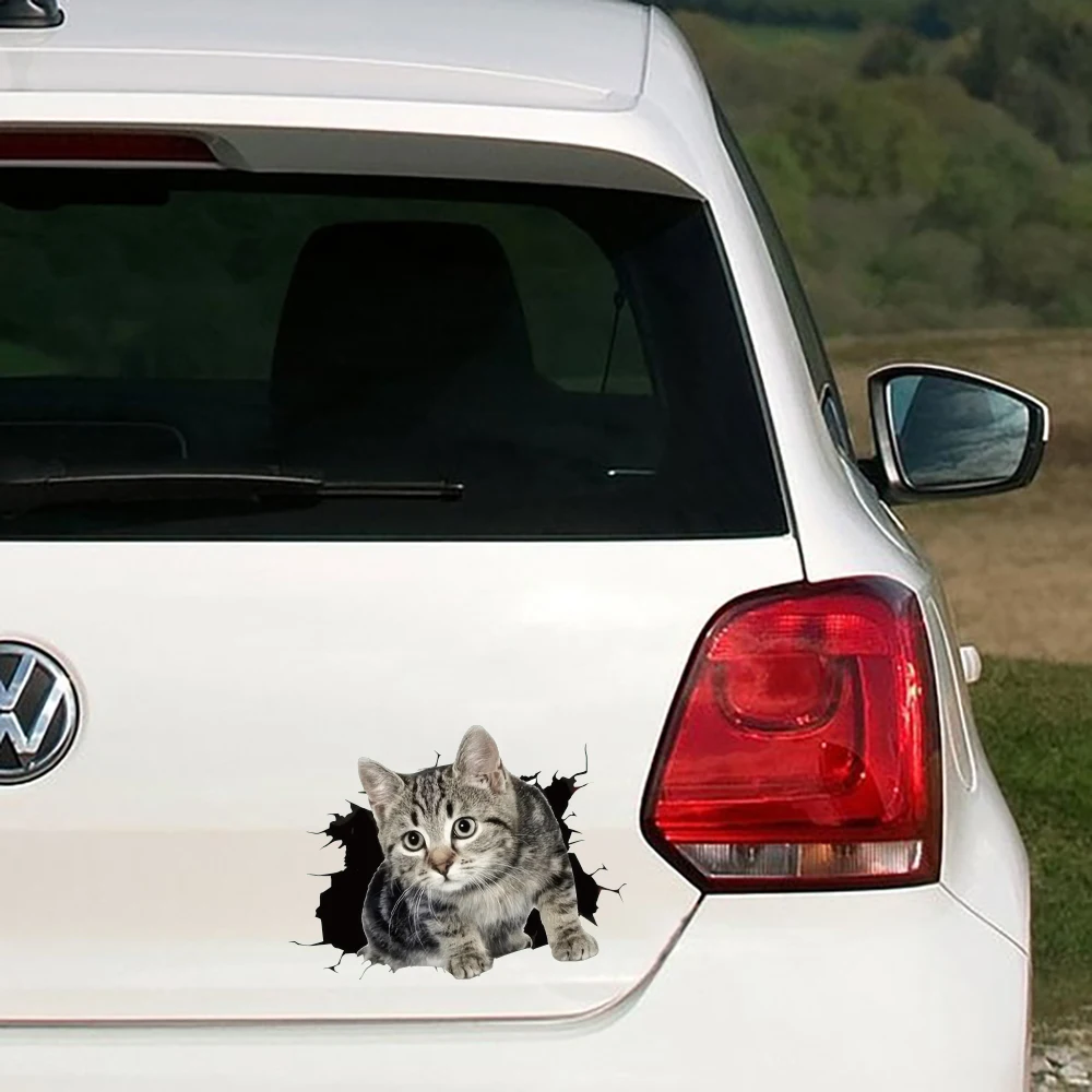 3d-Scratch-Cat-Car-Sticker-Pet-Animal-Scratch-Auto-Vehicle-Bumper ...
