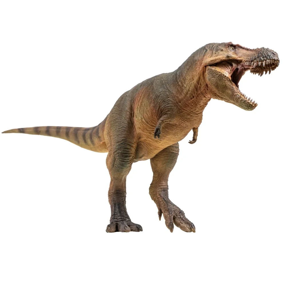 PNSO-Zhuchengtyrannus-magnus-58-Luxiong-Figure-T-Rex-Dinosaur-Collector ...