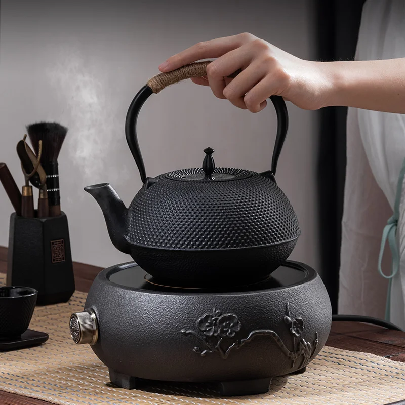 GIANXI-Cast-Iron-Tea-Kettle-Filter-Tea-Kettle-Chinese-Kung-Fu-Boiling ...