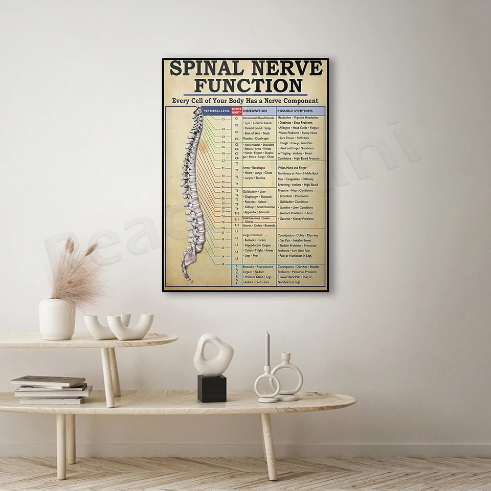 Chiropractic Posters And Charts
