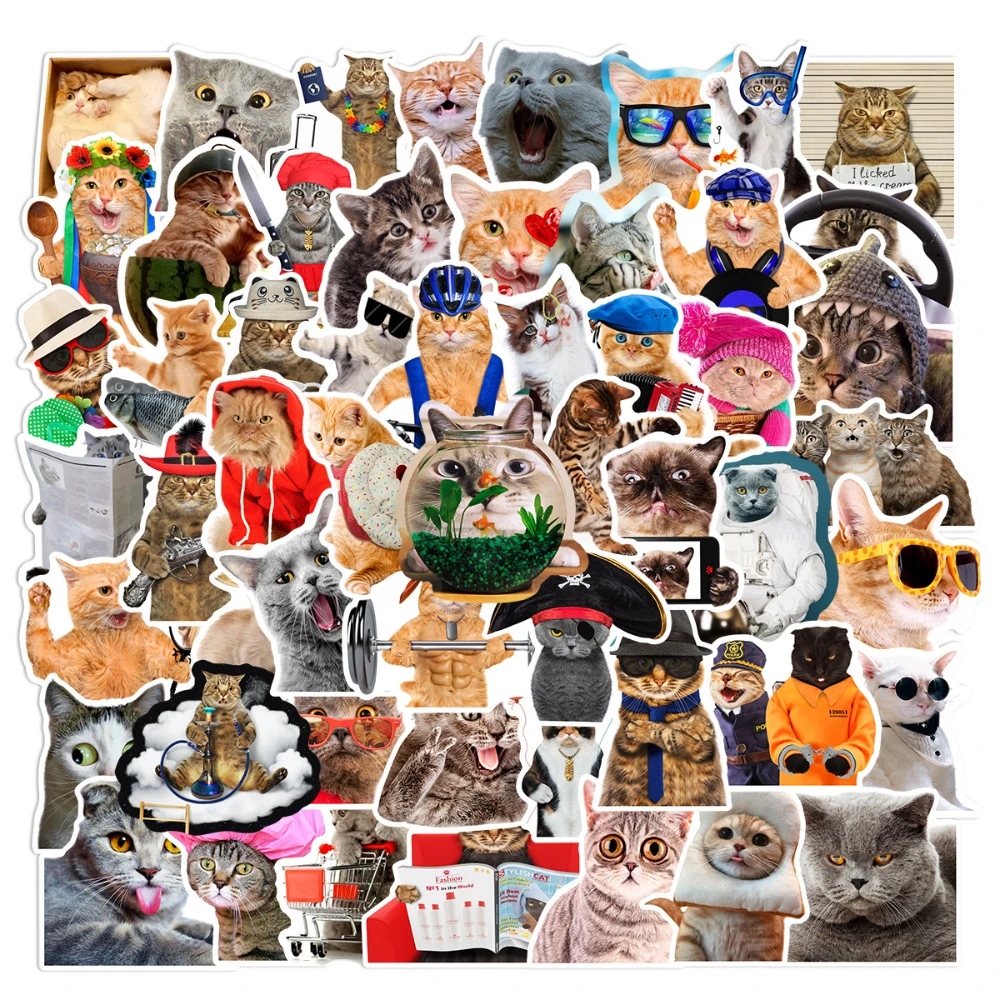 10/66PCS Cat MEME Funny Animals Stickers Vintage Toy DIY Kids Notebook ...