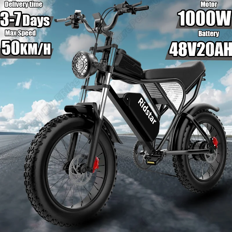 Q20-Electric-Bicycle-1000W-Brushless-Motor-48V20AH-Lithium-Battery ...