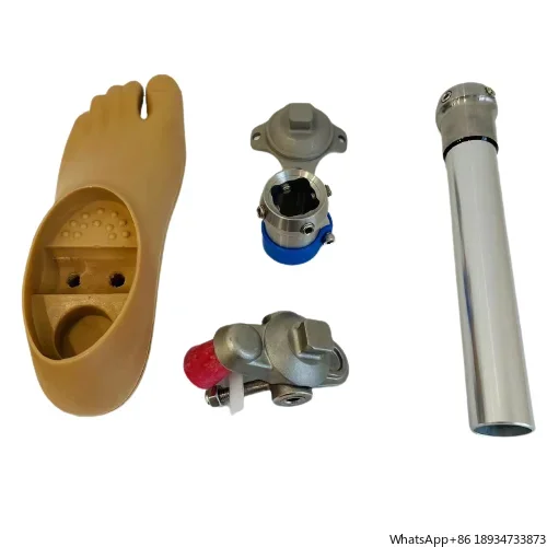 Pernas-prot-ticas-para-pernas-artificiais-Pr-tese-de-perna-Abaixo-do ...