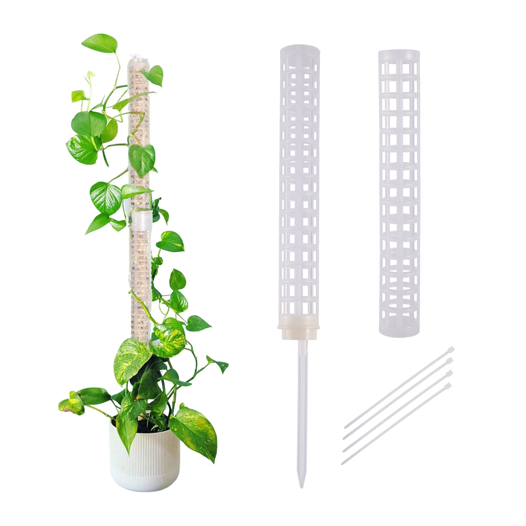 Plant Climbing Column Sphagnum Moss Pole Plants Growing Support Stand ...