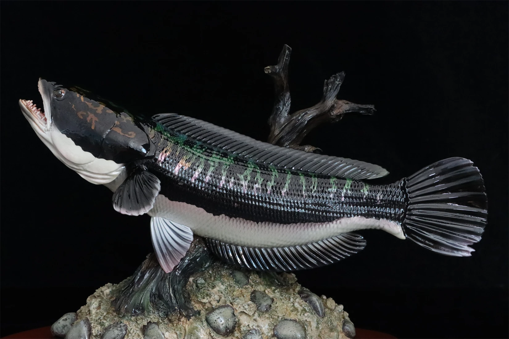Angling World Studio Giant Indonesian SnakeHead Toman Fish Model ...
