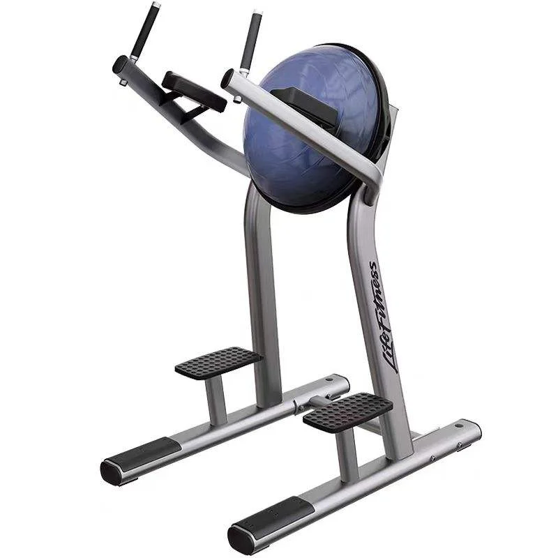 Leg Riser Machine Review: How This Vertical Knee Raise Station ...