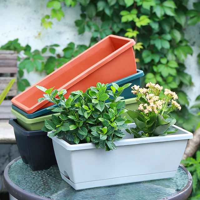 Large Plastic Plant Pots