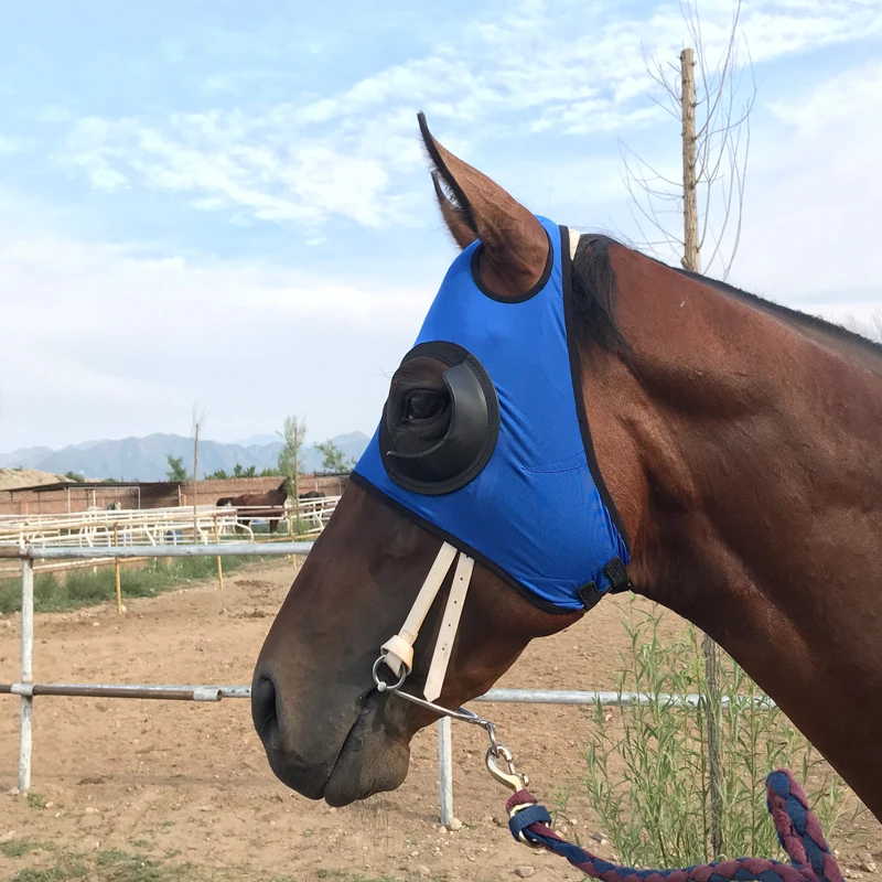 Horse Eye Blinders