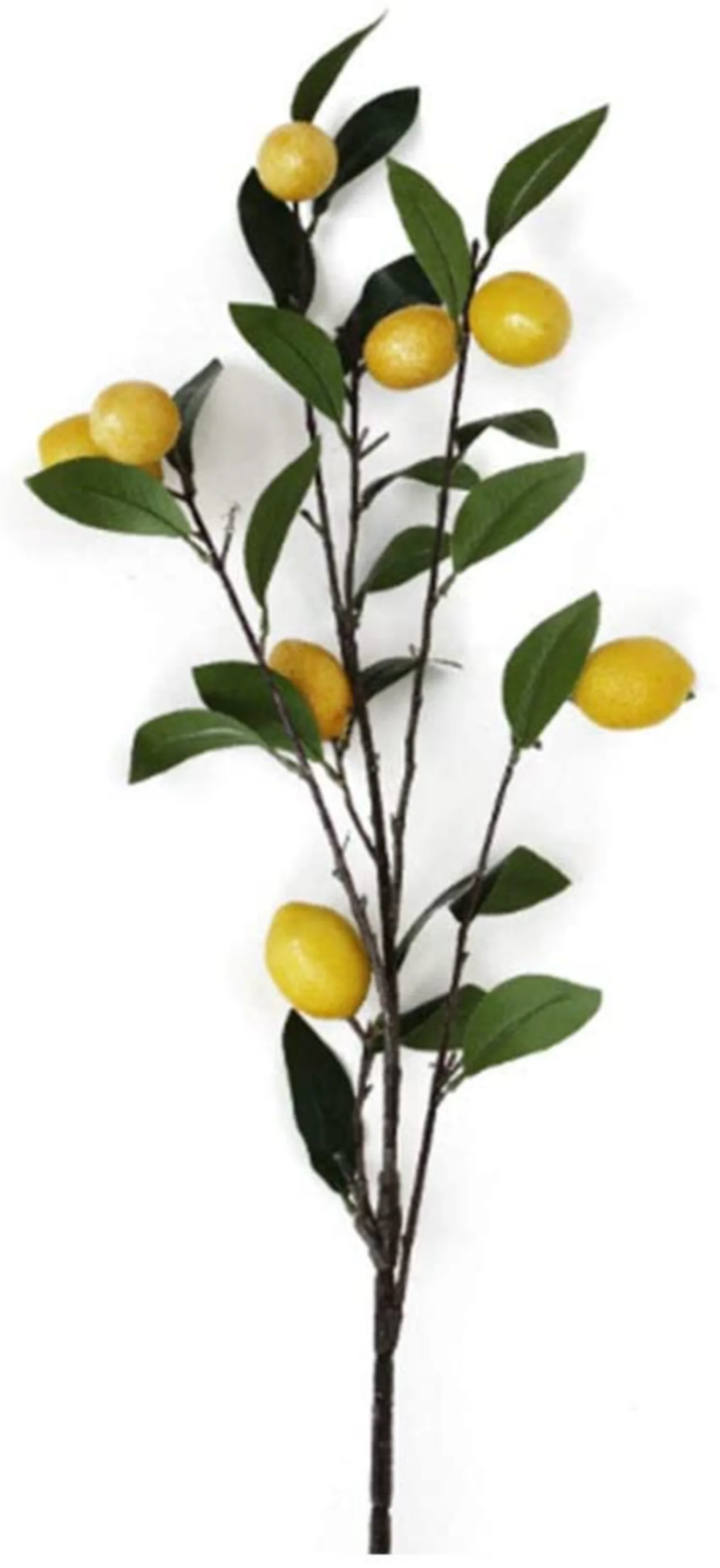 Artificial-Lemon-Branches-Simulation-Lemon-Tree-Plants-Fake-Lemon-Stems ...