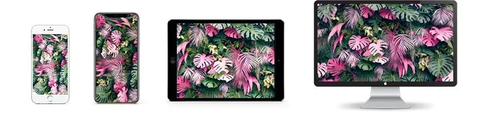 MOON.QG виниловый фотофон "Весенний цветок" | AliExpress