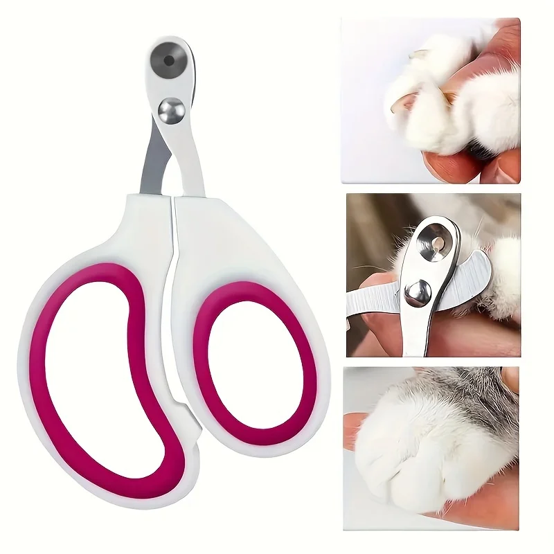 Essential Guide to Cat Paw Razors: Choosing the Best Grooming Tool for ...