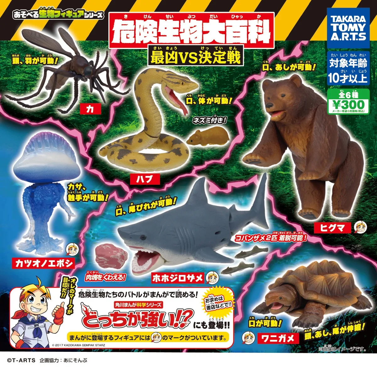 Bear Shark Octopus