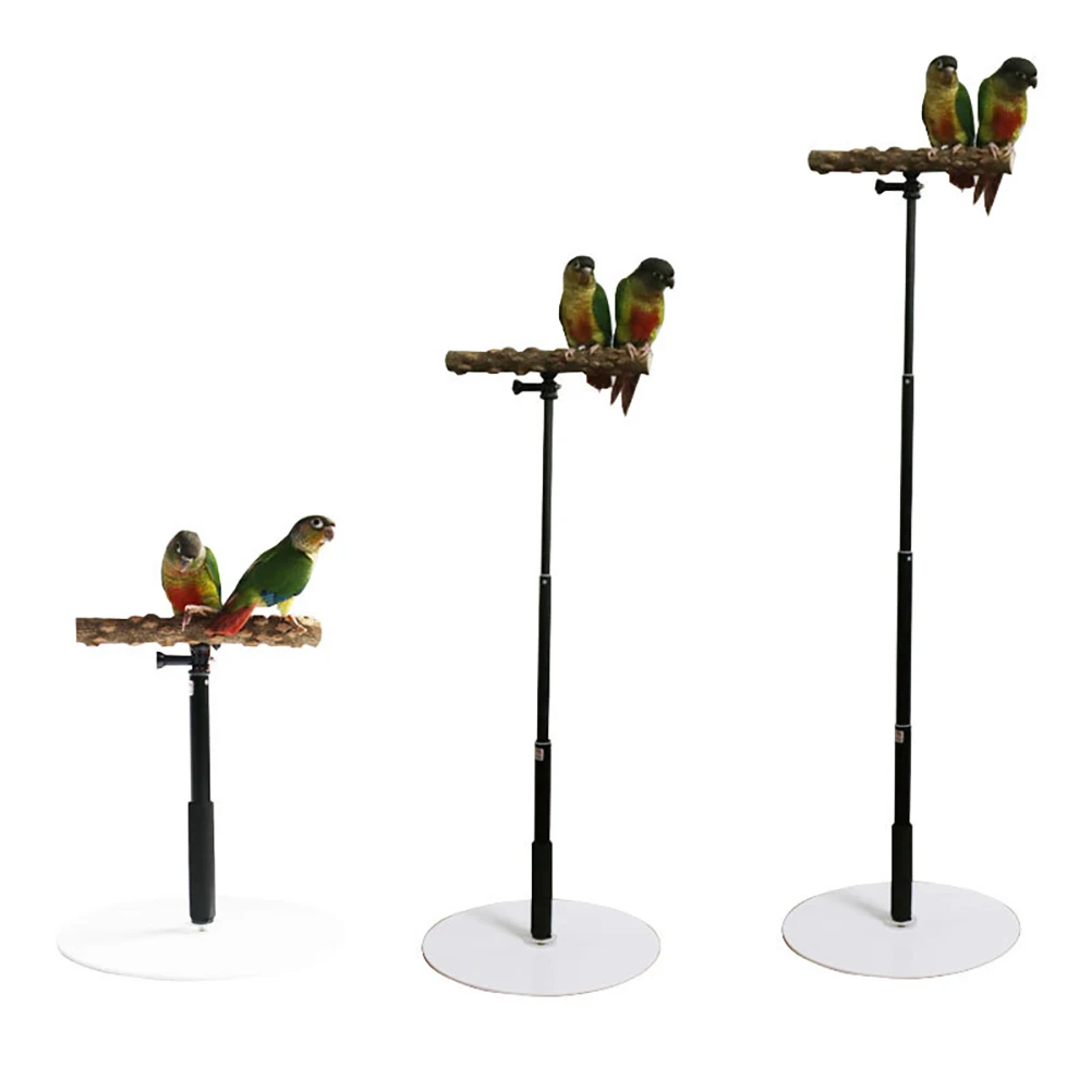 Parrot-Perch-Acrylic-Stand-Bird-Cage-Perch-Accessories-Height ...
