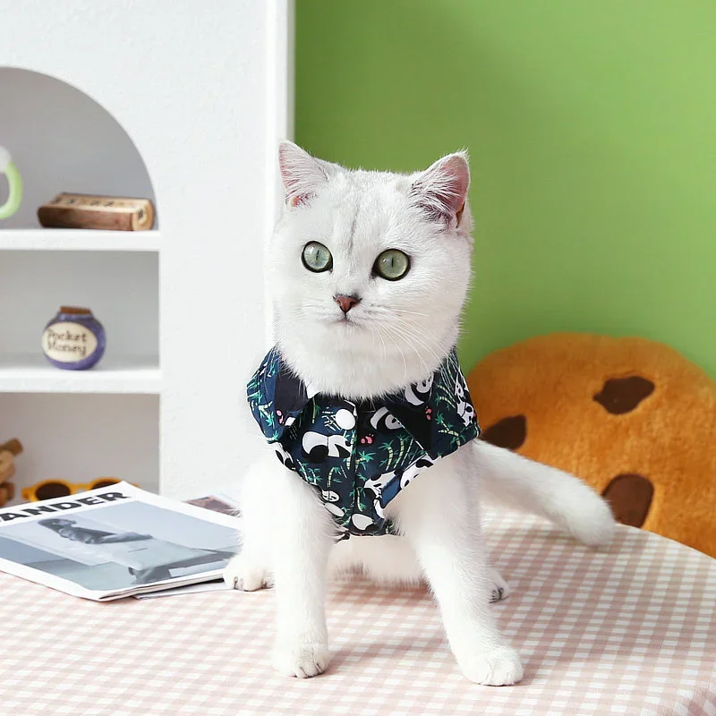 Kitten-s-summer-clothes-Pet-cat-clothes-Shirt-for-Cat-Pet-Clothing-Cat ...