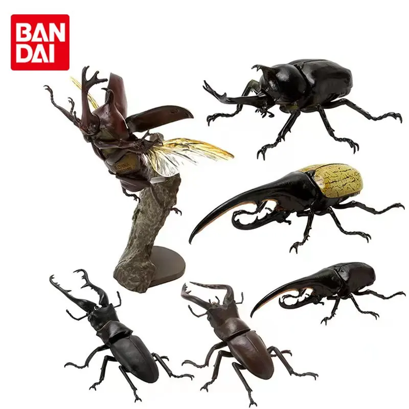 Bandai Gashapon Beetle 01 | Anime Action Figure Toys | Bandai Gashapon ...