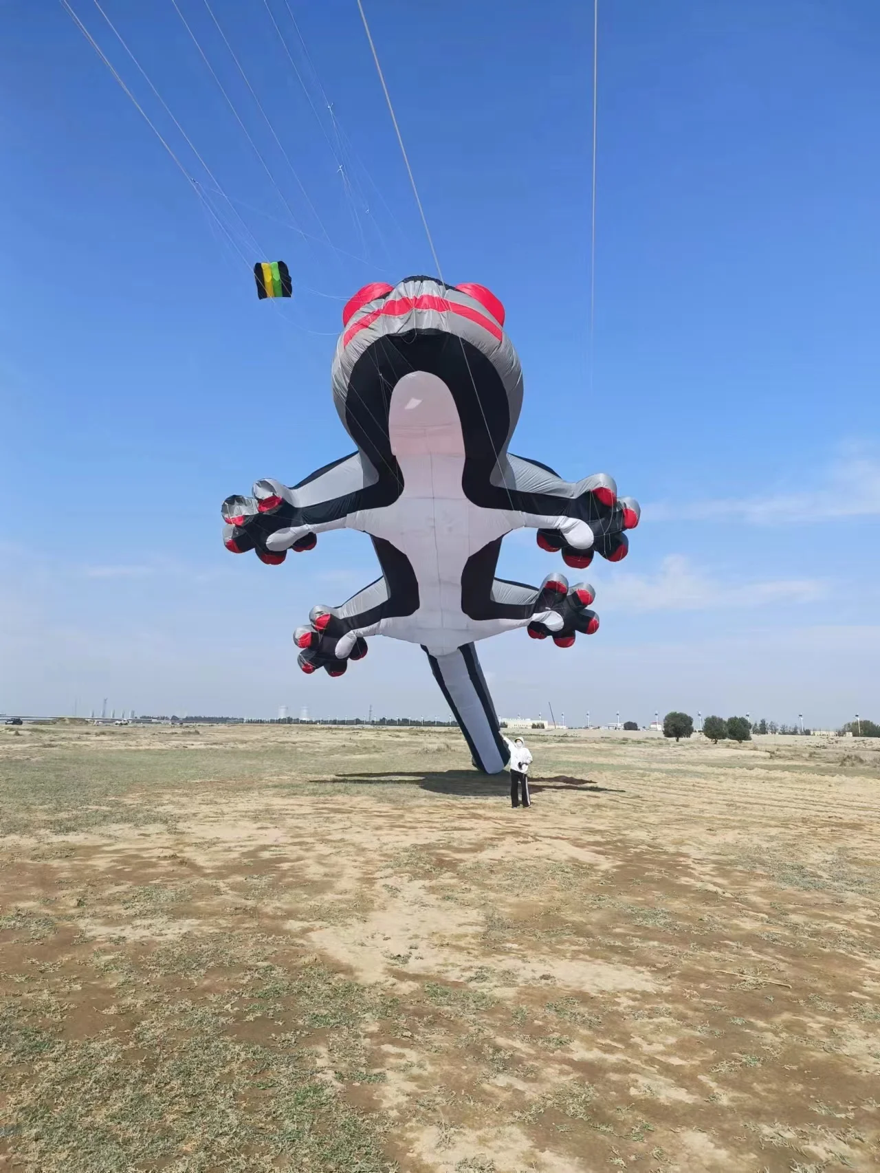 20m-gecko-kite-multi-color-fabric-splicing-skate-pendant-kites-for ...