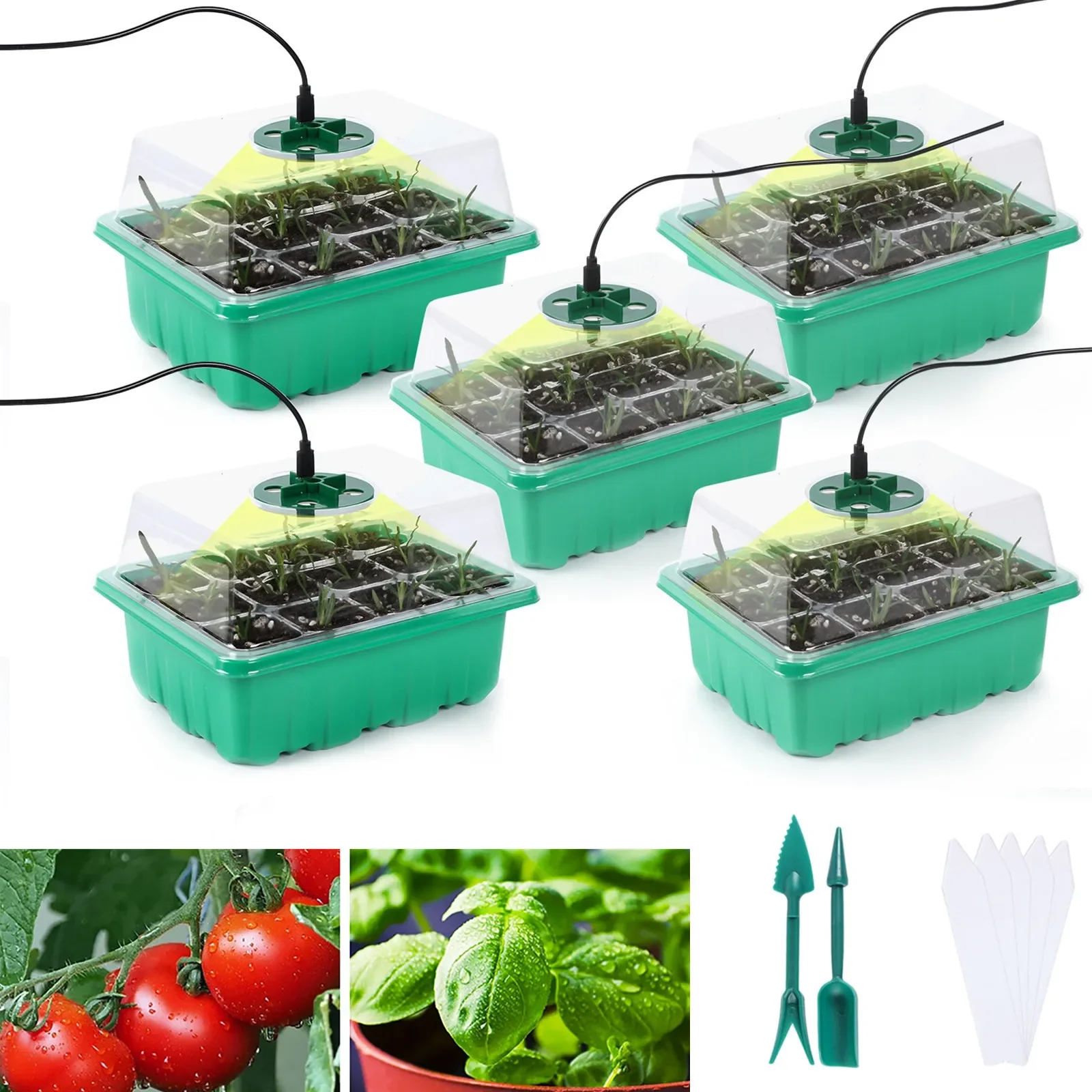 5pcs-set-12-Holes-Mini-Greenhouse-Seed-Growing-Tray-Seedling-Box-with ...
