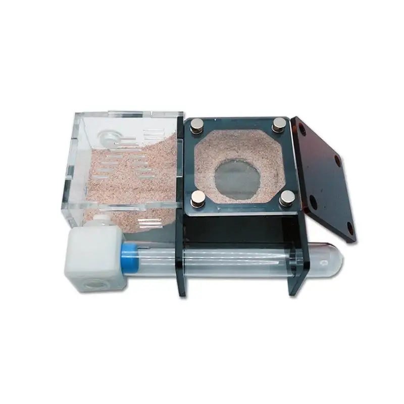 New-Concrete-Ant-Farm-Deep-Ground-Mini-Ant-House-with-Feeding-Area-Pet ...