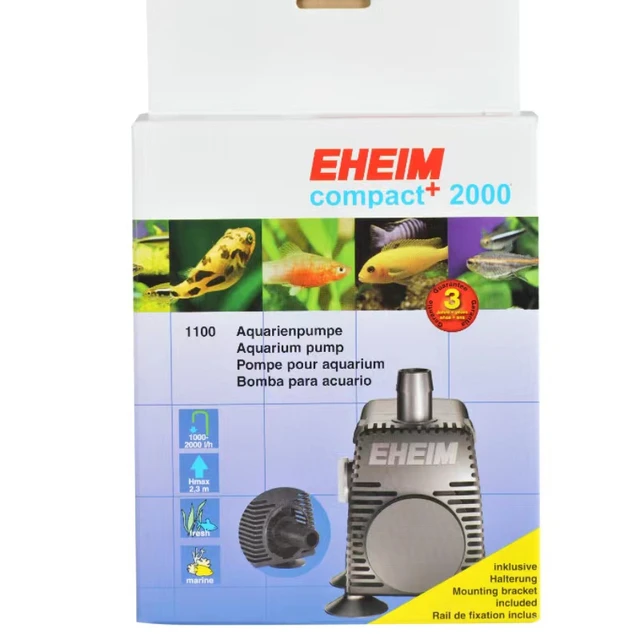 Muscle Atrophy In Dogs: What It Is, How To Spot It And Fix, 55% OFF