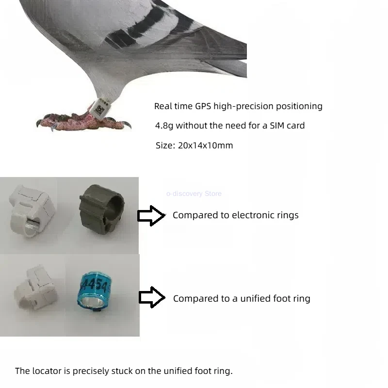 Pigeon Racing Pigeon Parrot 5 Crow Y GPS Positioning Tracker ...