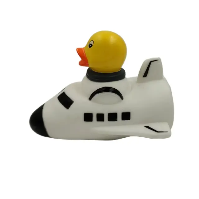 Space Shuttle Ducks
