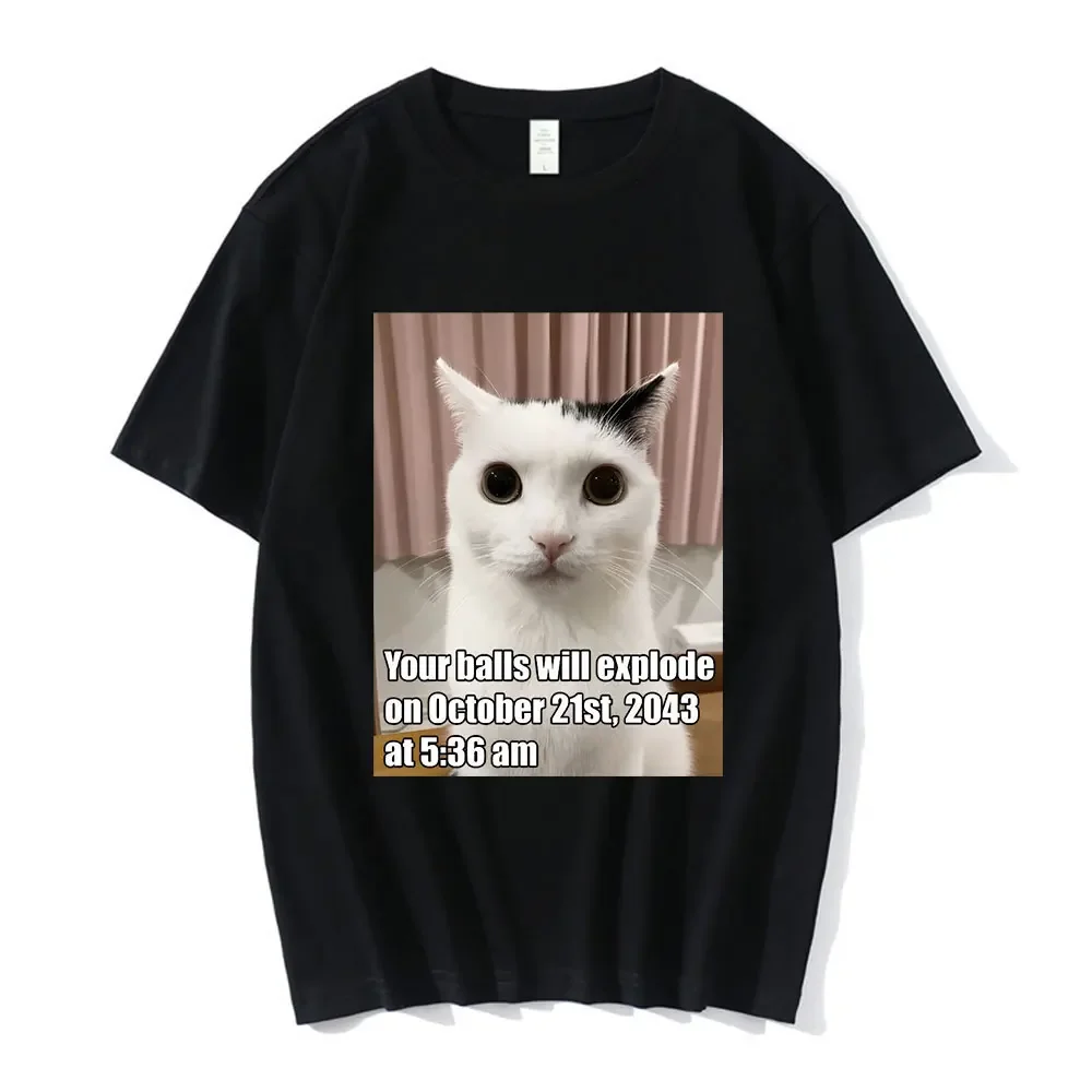 Your-Balls-Will-Explode-Funny-Cat-Meme-Graphic-T-Shirt-Men-s-Fashion ...