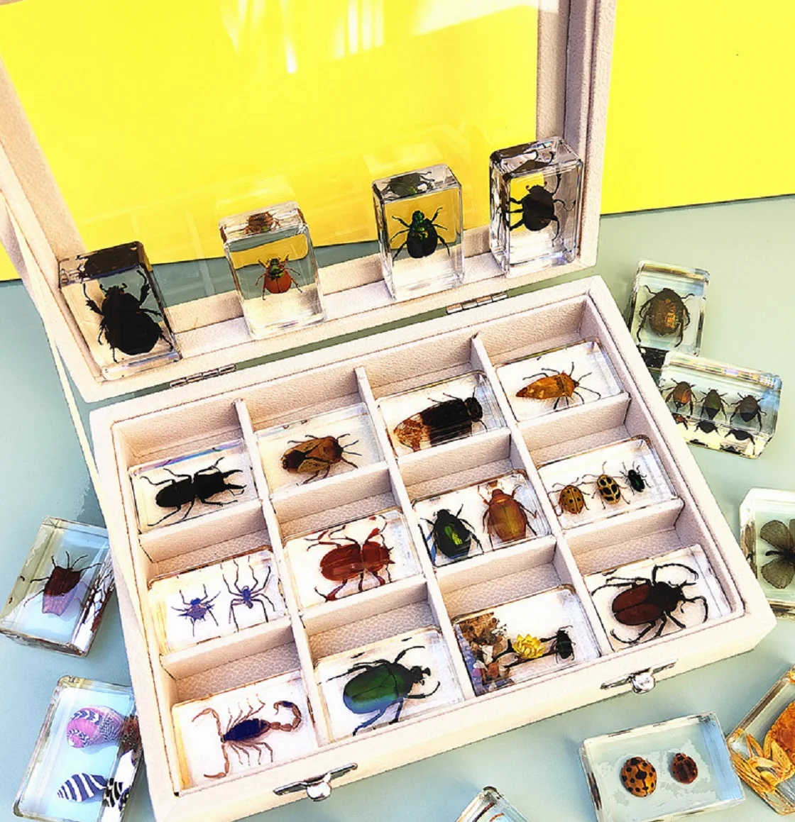 Real-insect-specimen-Transparent-resin-creative-small-ornaments ...