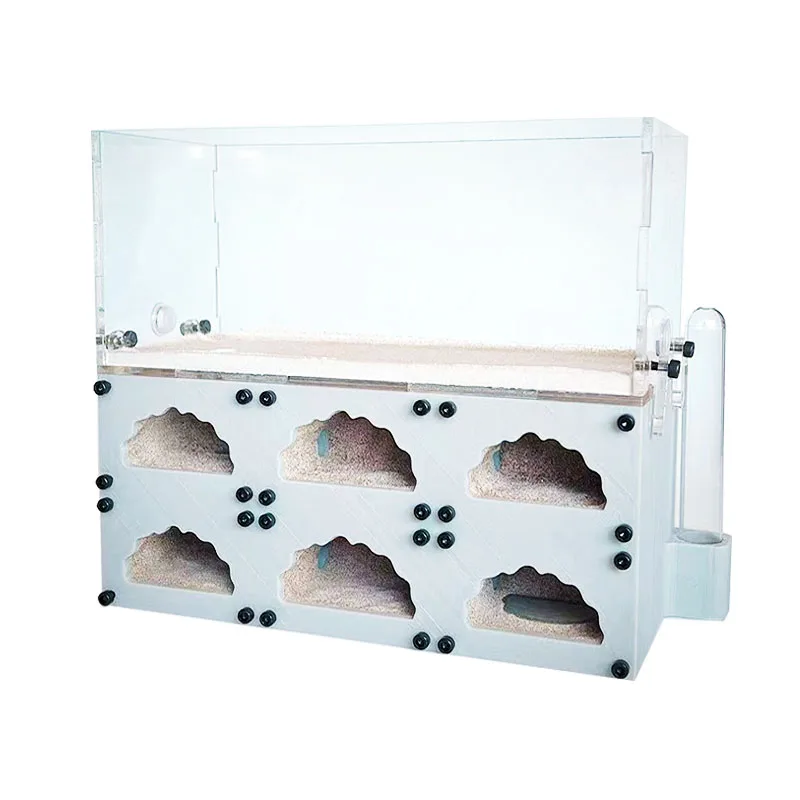 3D-Gypsum-Ant-Farm-with-Water-Tower-Plaster-Ant-Nest-Area-Moisturize ...