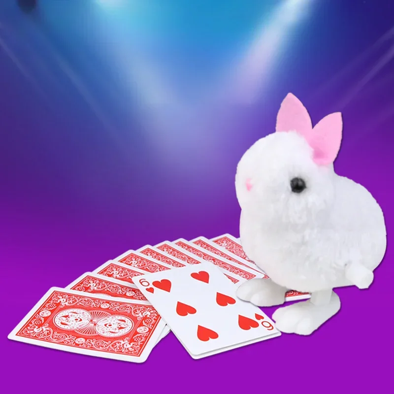 Smart-Rabbit-Rabbit-Looking-For-Cards-Prediction-Close-Up-Street-Magic ...