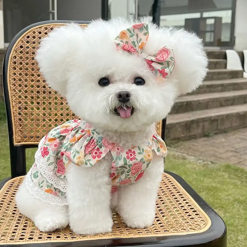 Small-Dog-Dress-Chihuahua-Miniature-Pinscher-Pomeranian-Shih-Tzu ...