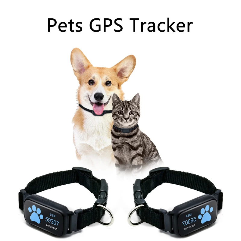 Localizzatore-GPS-Anti-smarrimento-per-animali-domestici-4G ...
