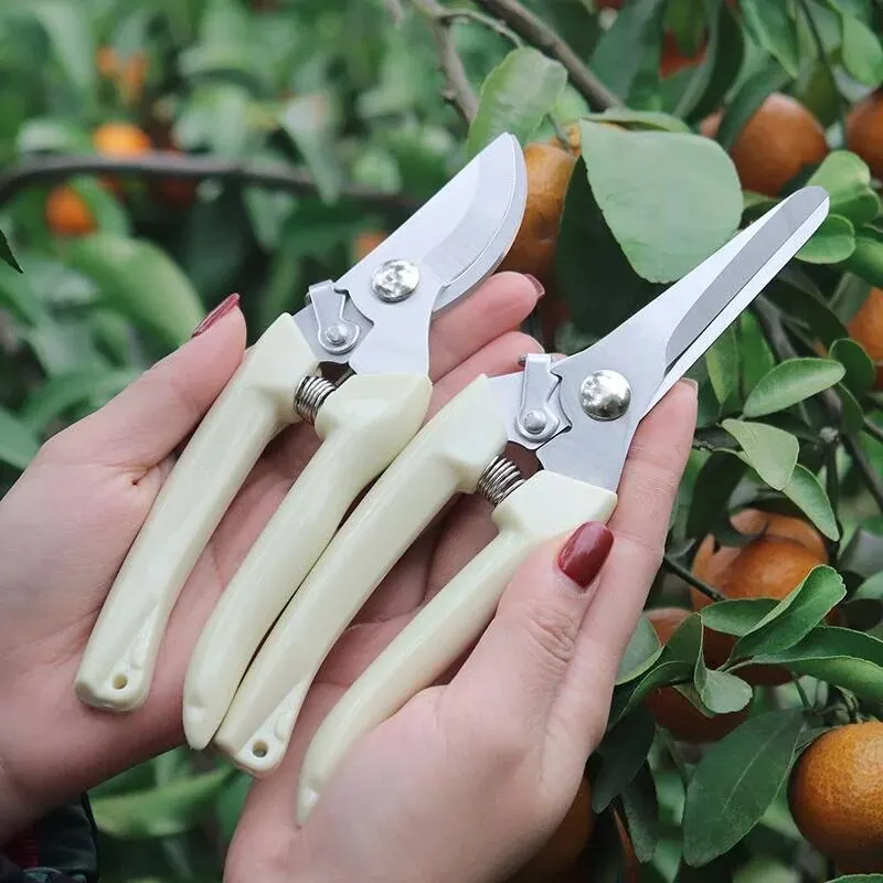 304-Stainless-Steel-Pruning-Shears-Fruits-Flowers-Gardening-Tool ...